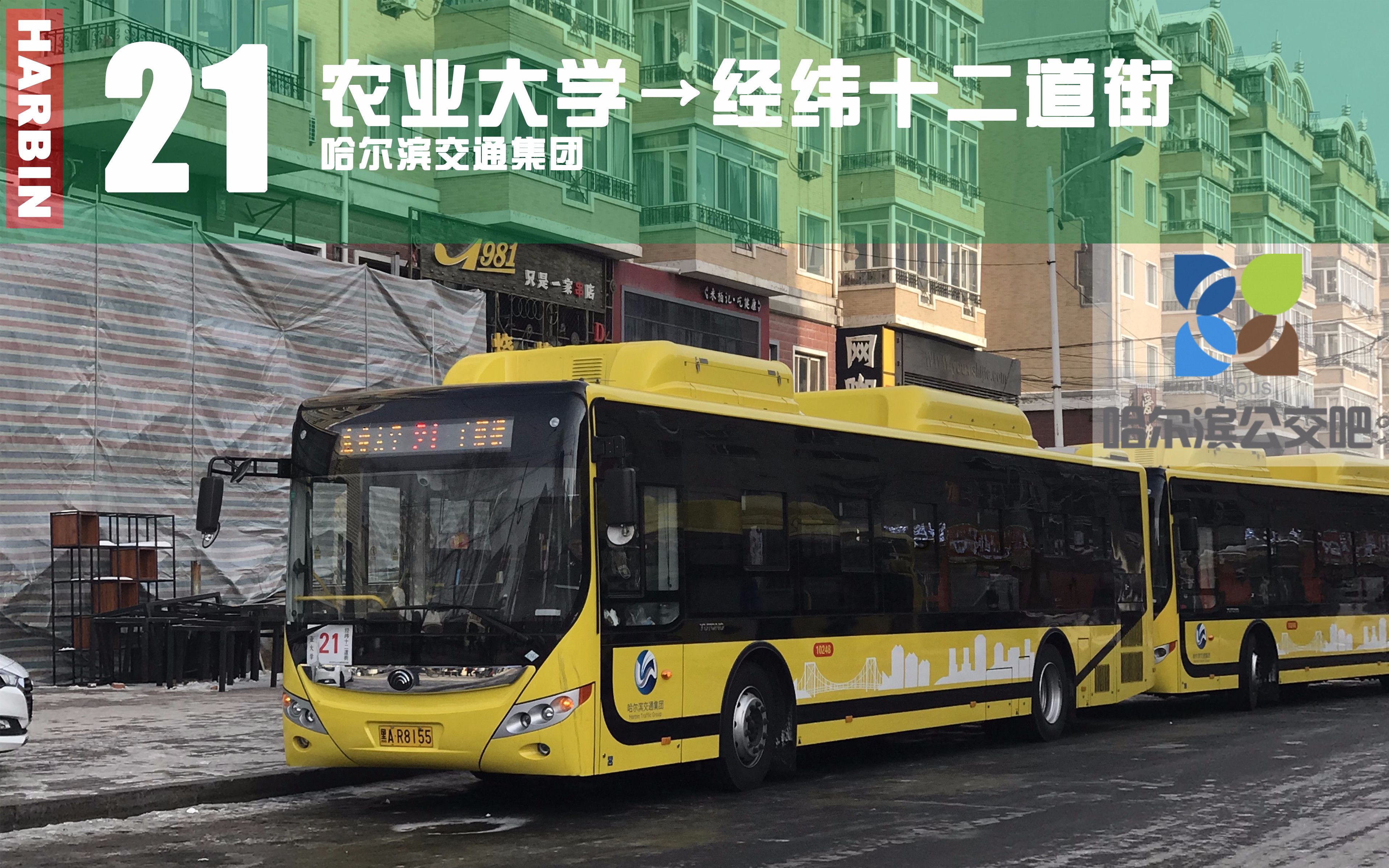 【冰城夏都】哈尔滨公交21路POV(农业大学→经纬十二道街)
