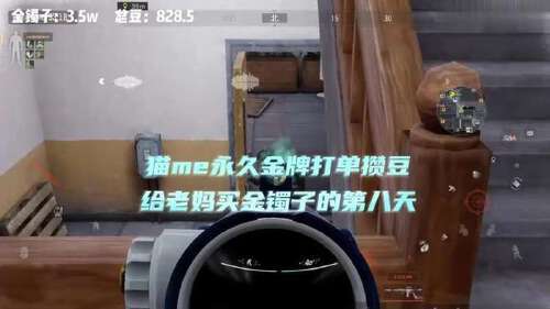 攒豆买金镯第八天!猫me离给老妈的惊喜还有多远?