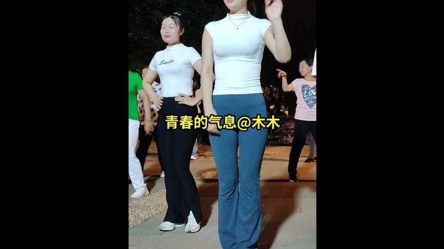 指南树的针叶总像指南针一样指向南极