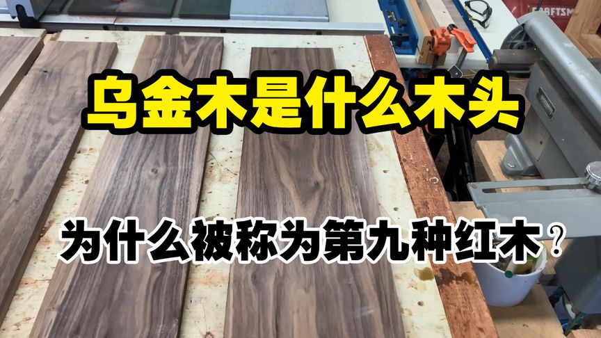 乌金木是什么木头?为什么被称为第九种红木?它是红木吗?
