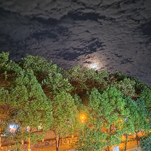 我不是彩神- 