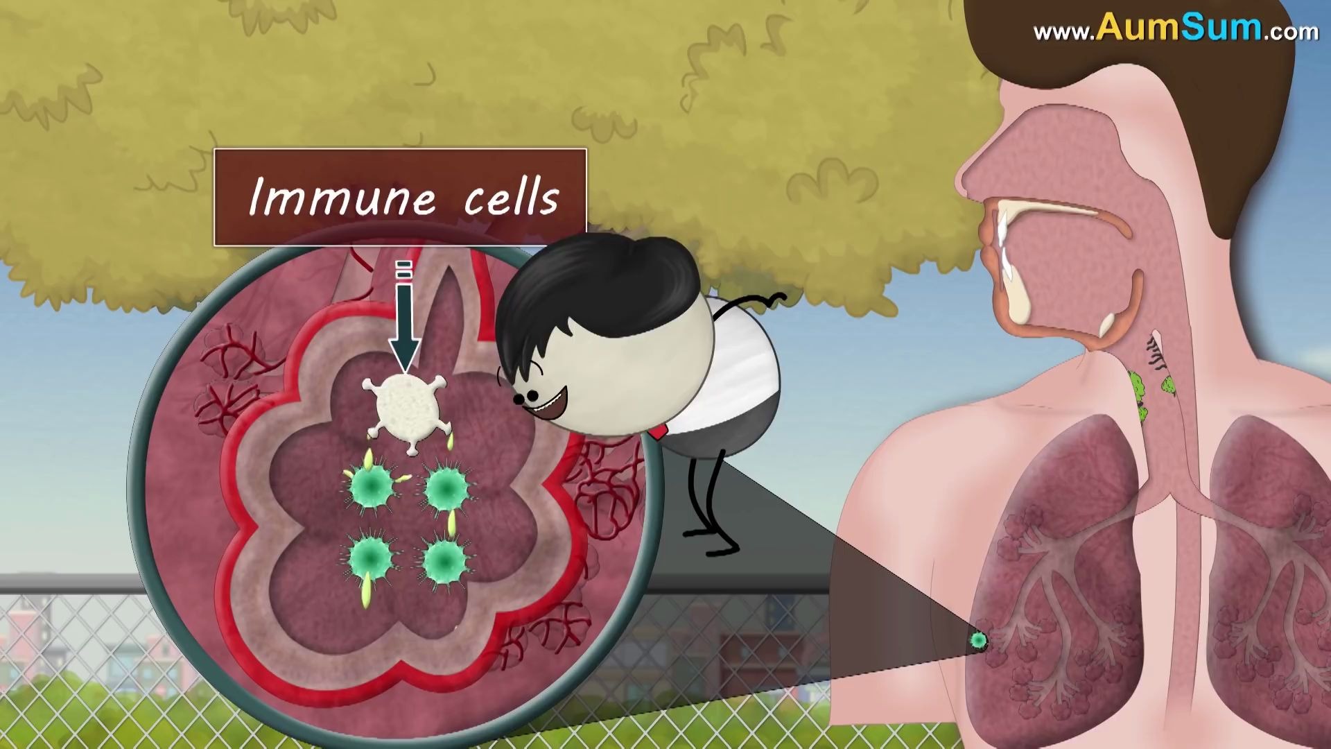 【儿童英文科普】What is a Coronavirus? | COVID-19 | 什么是新冠病毒