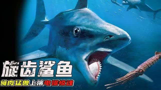 巨齿鲨"老祖宗"!2.9亿年前的史前巨兽,嘴长旋齿电锯