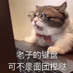 百变性格 