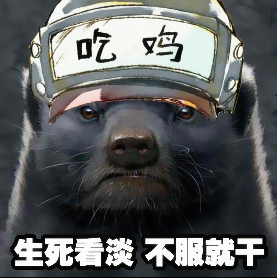 突击手蜜獾 