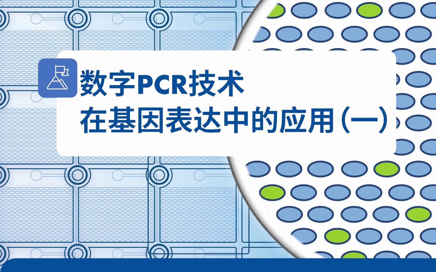 数字PCR技术在基因表达中的应用(一)