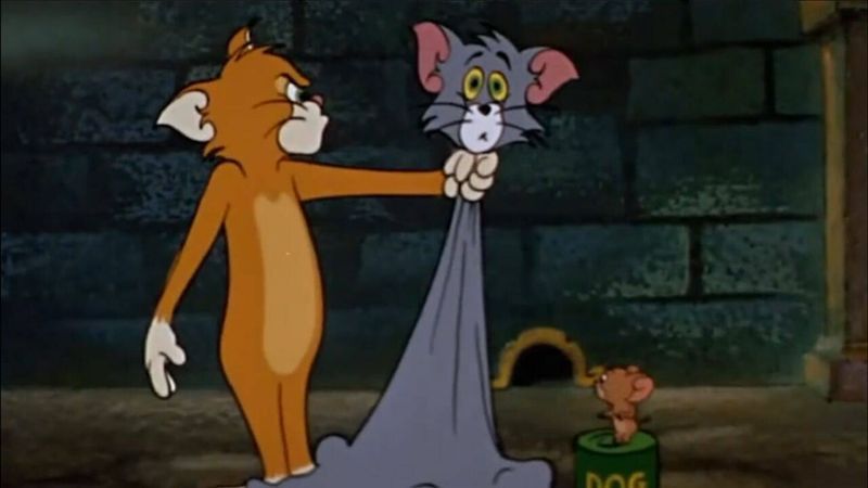 《猫和老鼠》最暗黑的一集,猫和狗灵魂互换,动物世界全都乱了套