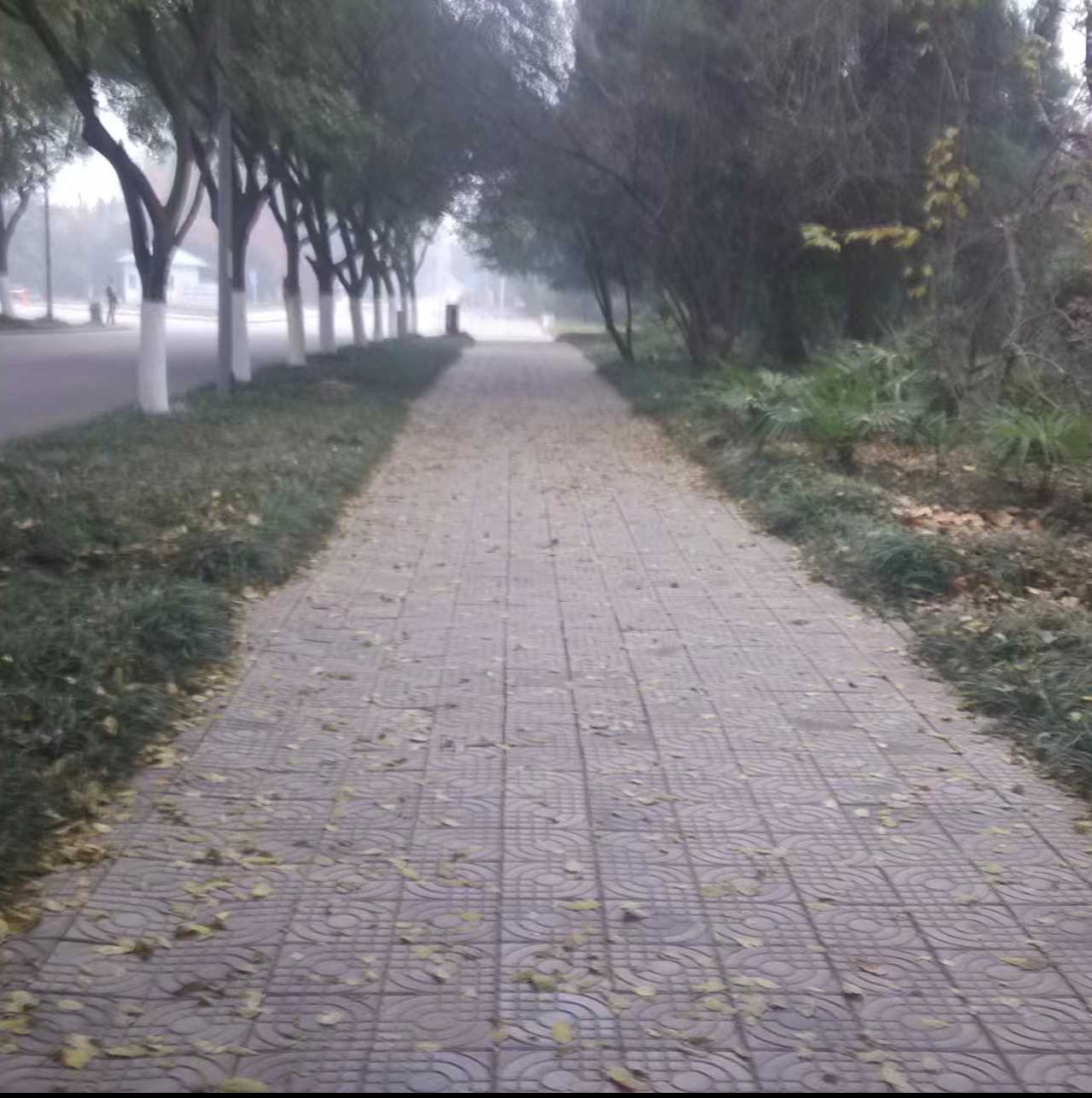 机械设计那点事儿 