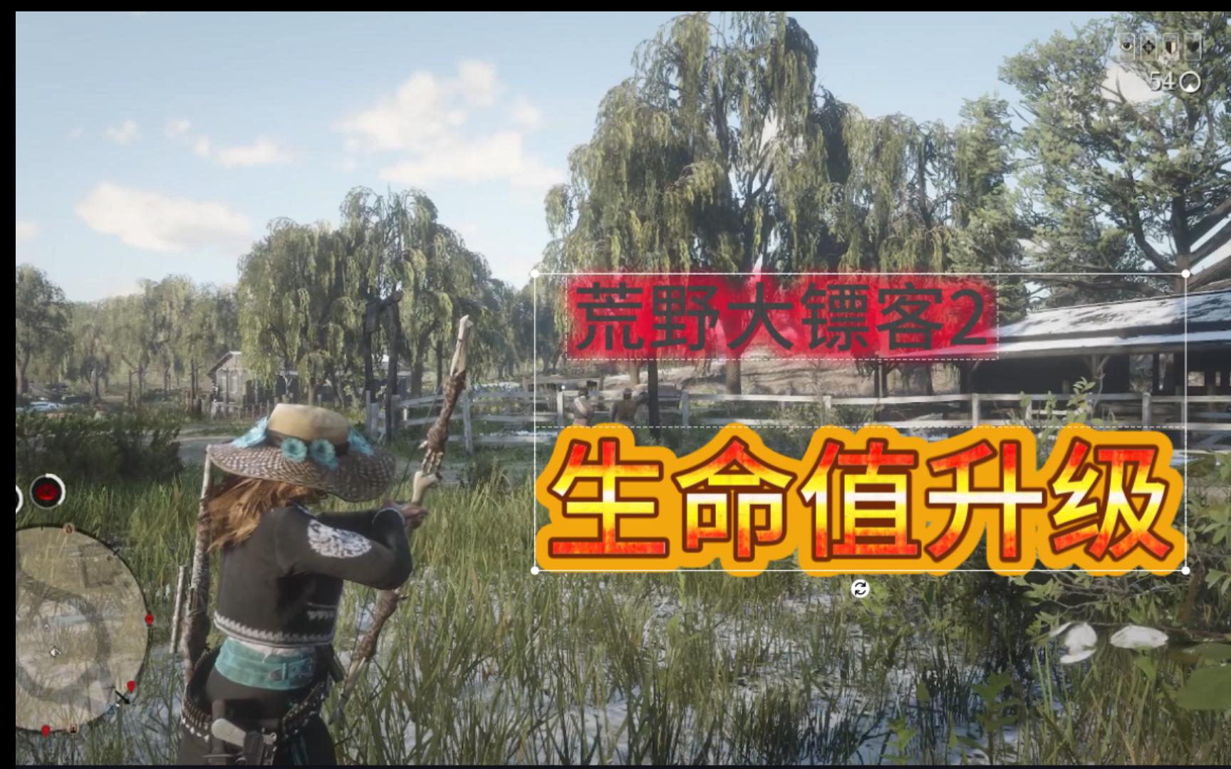 怎么升级生命值《荒野大镖客2》线上