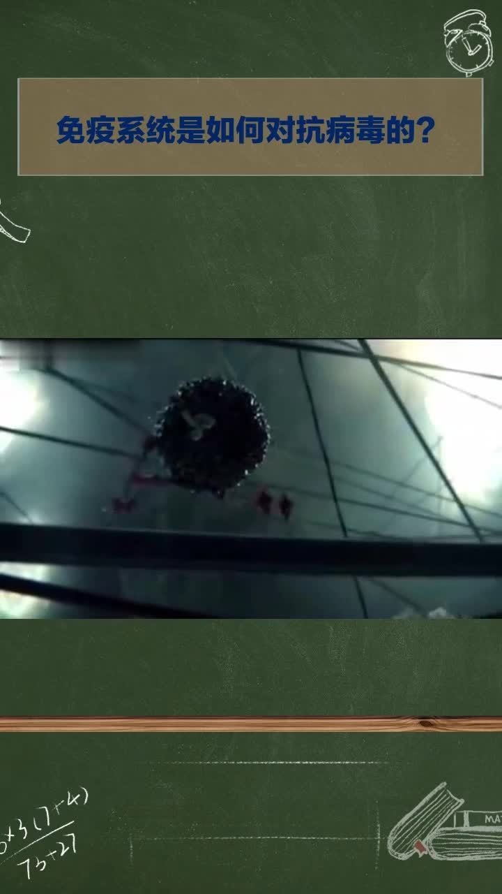 免疫系统是如何对抗病毒的?