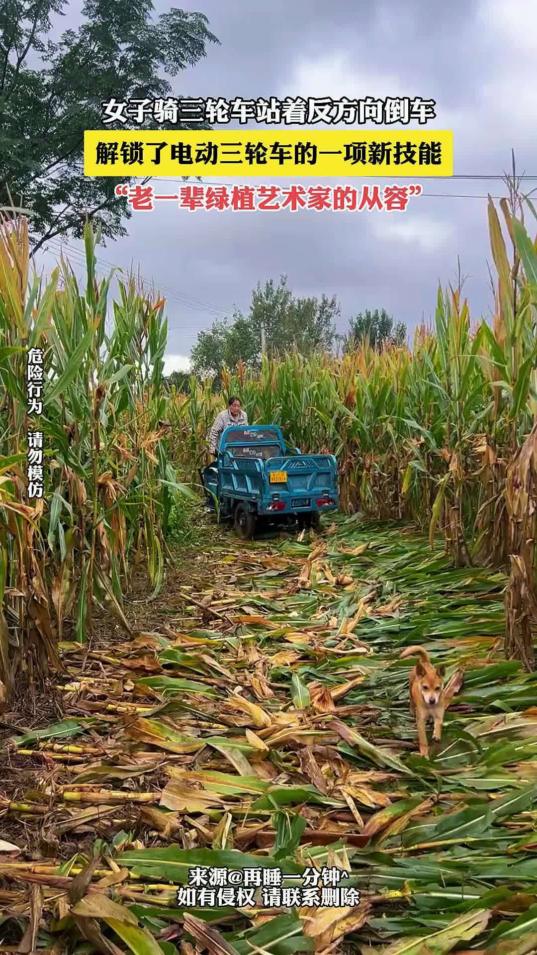 女子骑三轮车站着反方向倒车,解锁了电动三轮车的一项新技能。