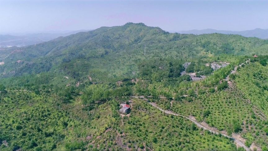瑞金 - 红军开采钨矿的山地