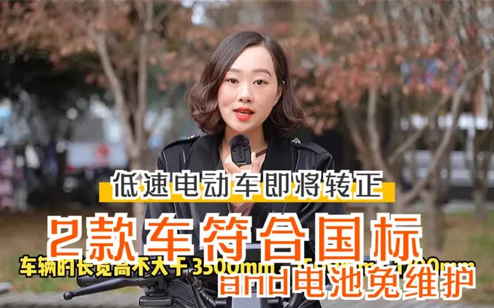 低速电动车即将转正,2款符合国标,续航超160公里,电池还免维护