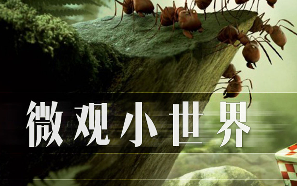 微观小世界-第二季【全集】中文字幕-自然|科学|科普|生物|微观世界...