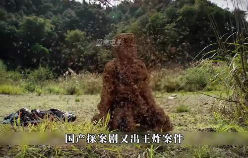 国产破案剧再现王炸剧情 一个天天跟密封打交道的人,最后被蜜蜂给蛰死了!