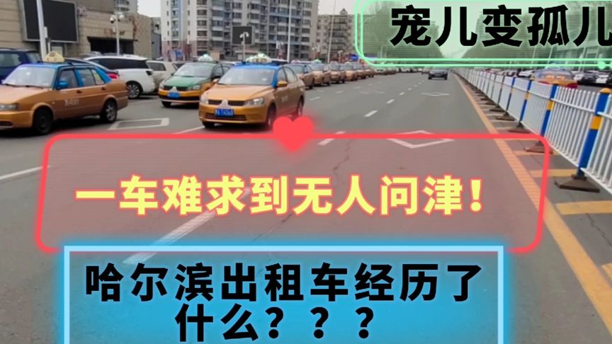 宠儿变孤儿!70万一车难求到30万无人问津哈尔滨出租车经历了什么