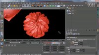 C4D R17轻松入门视频教程 28 变形工具组 庚 倒角变形器的使用方法