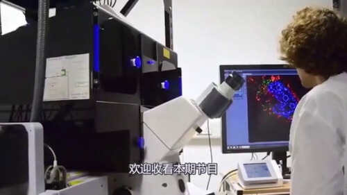 做试管婴儿,女性究竟有多疼,3D动画演示全程!