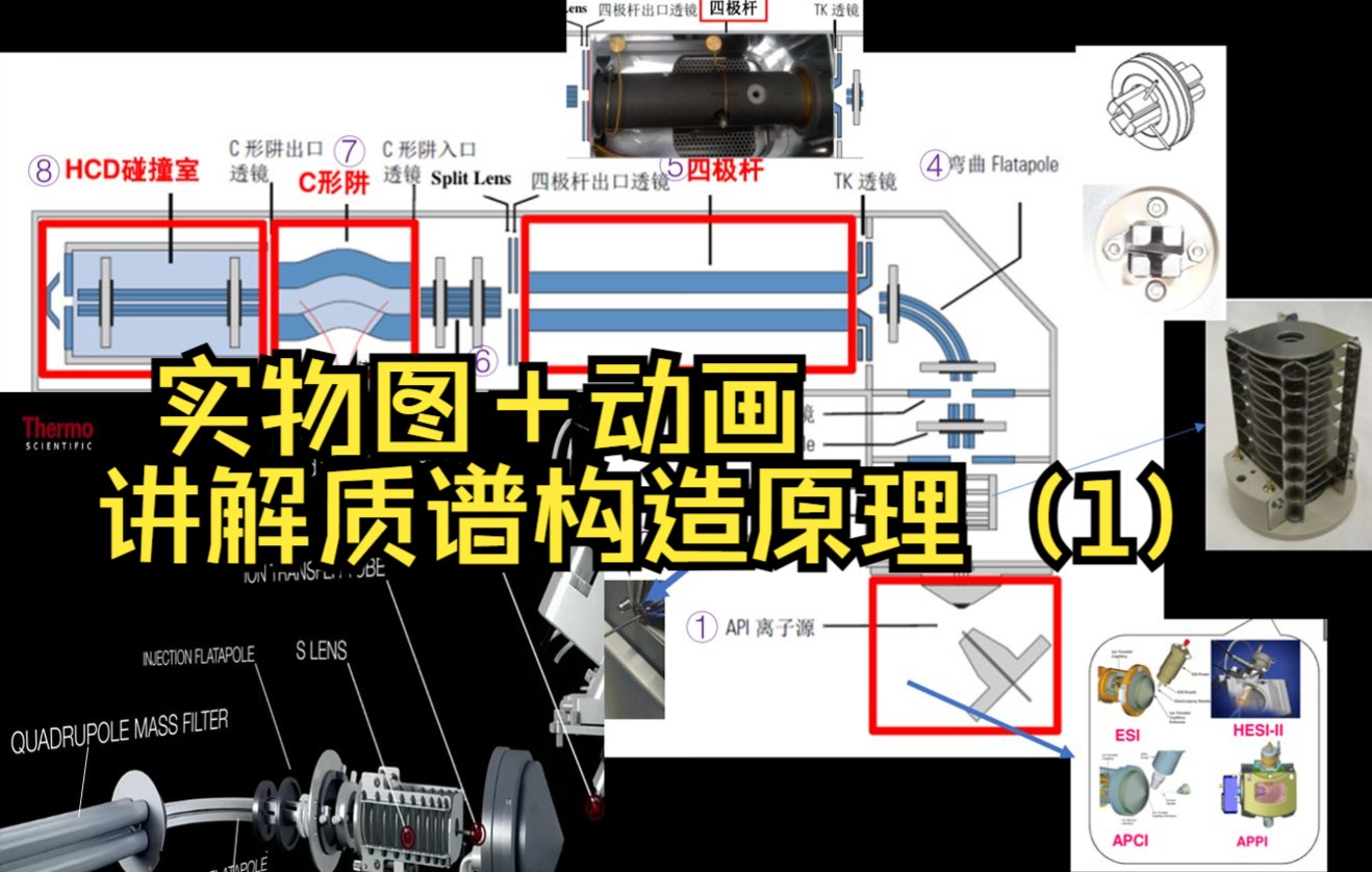 实物图+动画讲解质谱的原理构造(1)