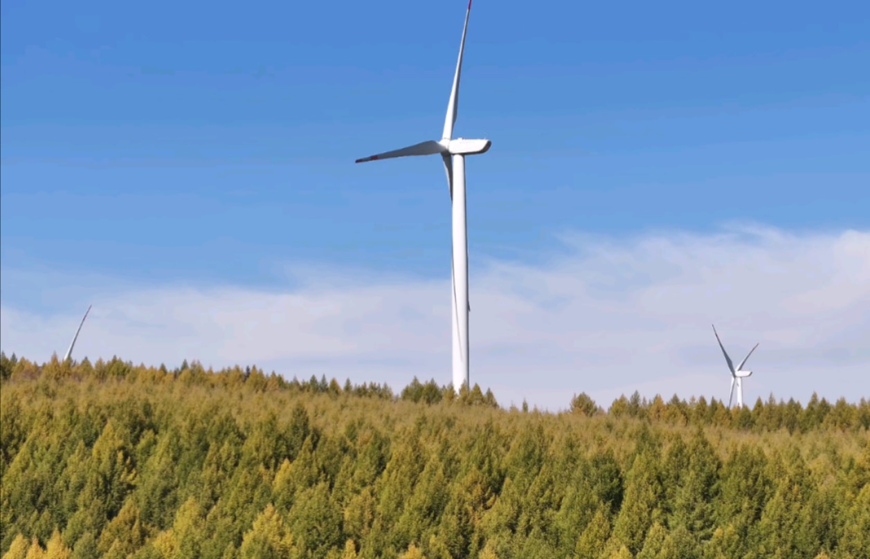 乌兰布统自驾游VLOG|四天三晚 御道口|塞罕坝|桦木沟|萨岭河玩水|达达...