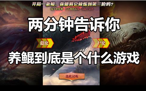 十六.两分钟告诉你养鲲到底是什么东西。