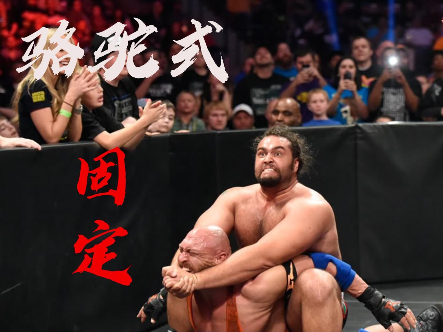 非美国反派锁技首选!骆驼式固定【摔角有招式】#43