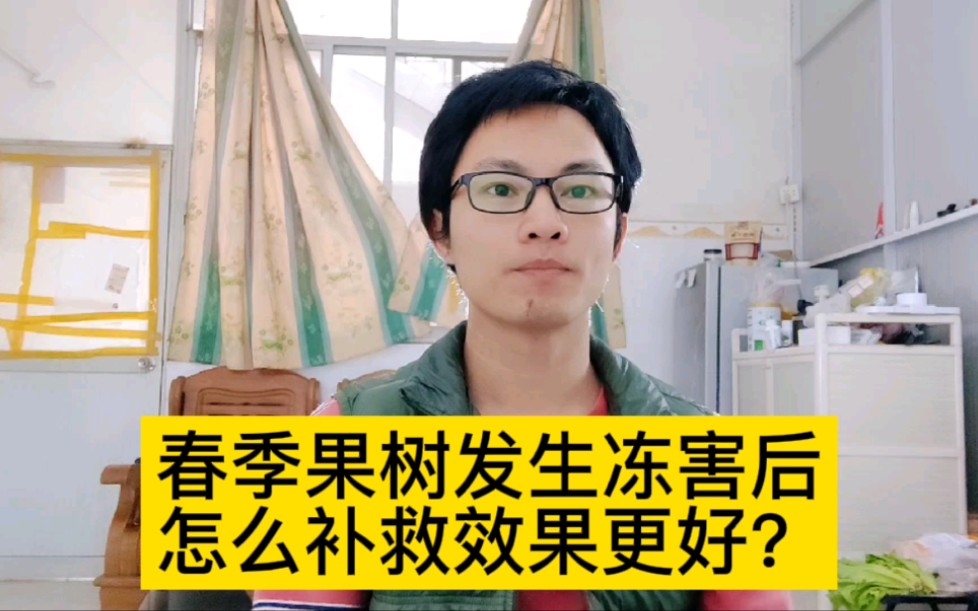 春季果树发生冻害后怎么补救更好?