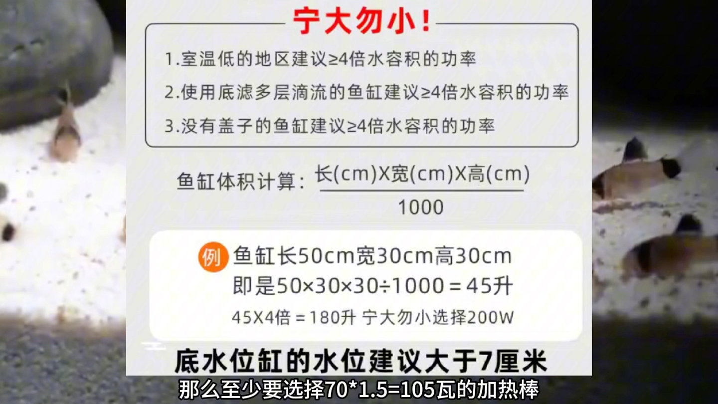 季节交替之初,是该给鱼缸配置鱼缸加热棒了,如何配置呢?教你