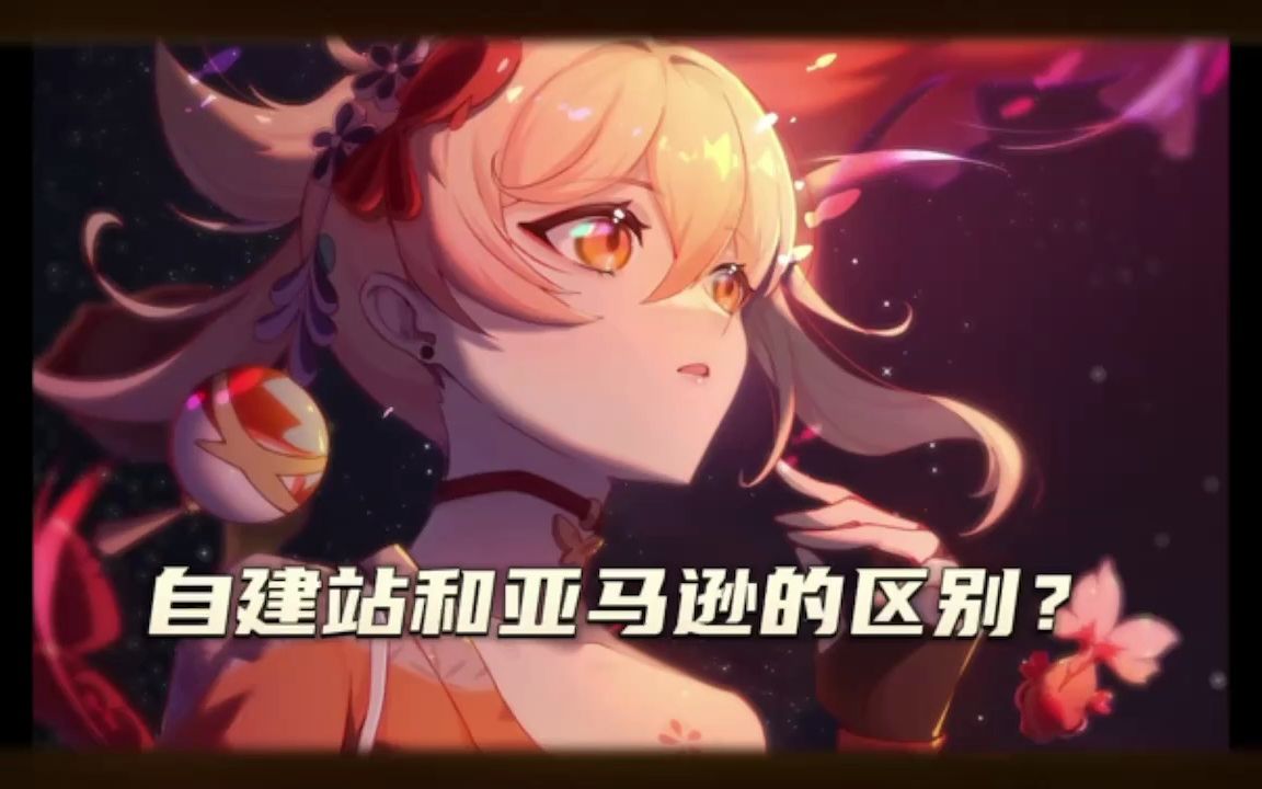 独立站和亚马逊的区别?平台与自有站的不同