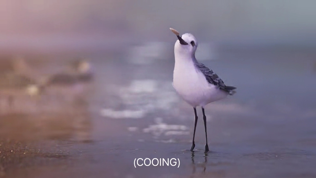 经典动画短片《鹬》