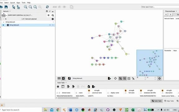 Cytoscape PPI网络作图(咖喱味很重的教程)