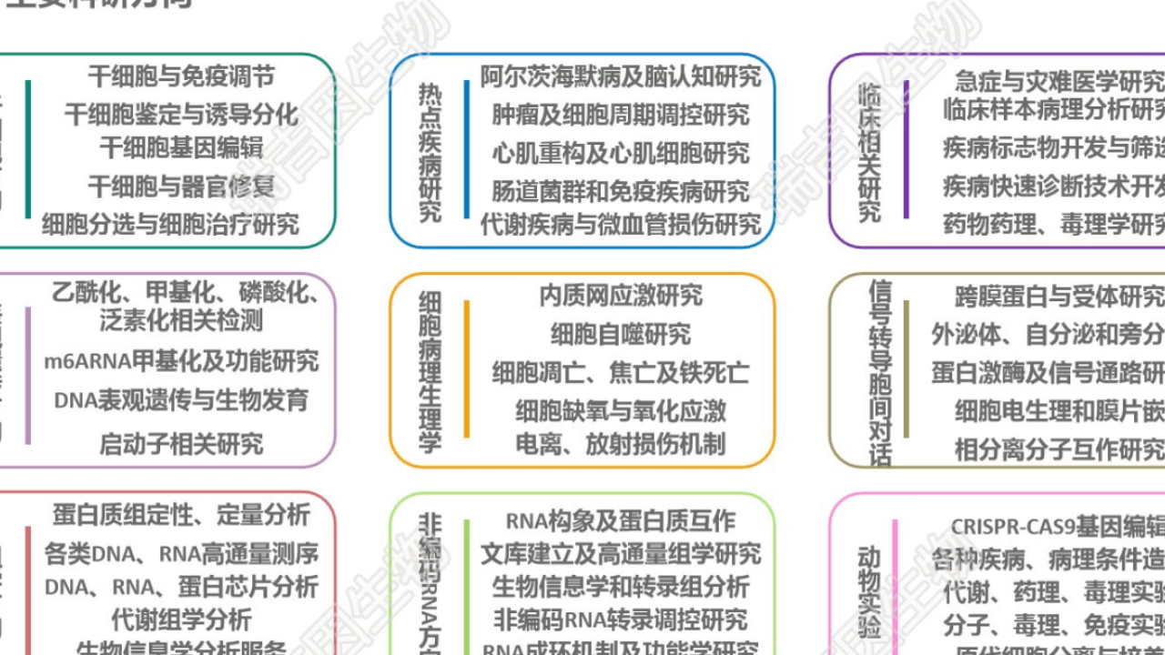 XX调节肠道功能紊乱的机制研究——大鼠肠肠吻合实验结果示意图