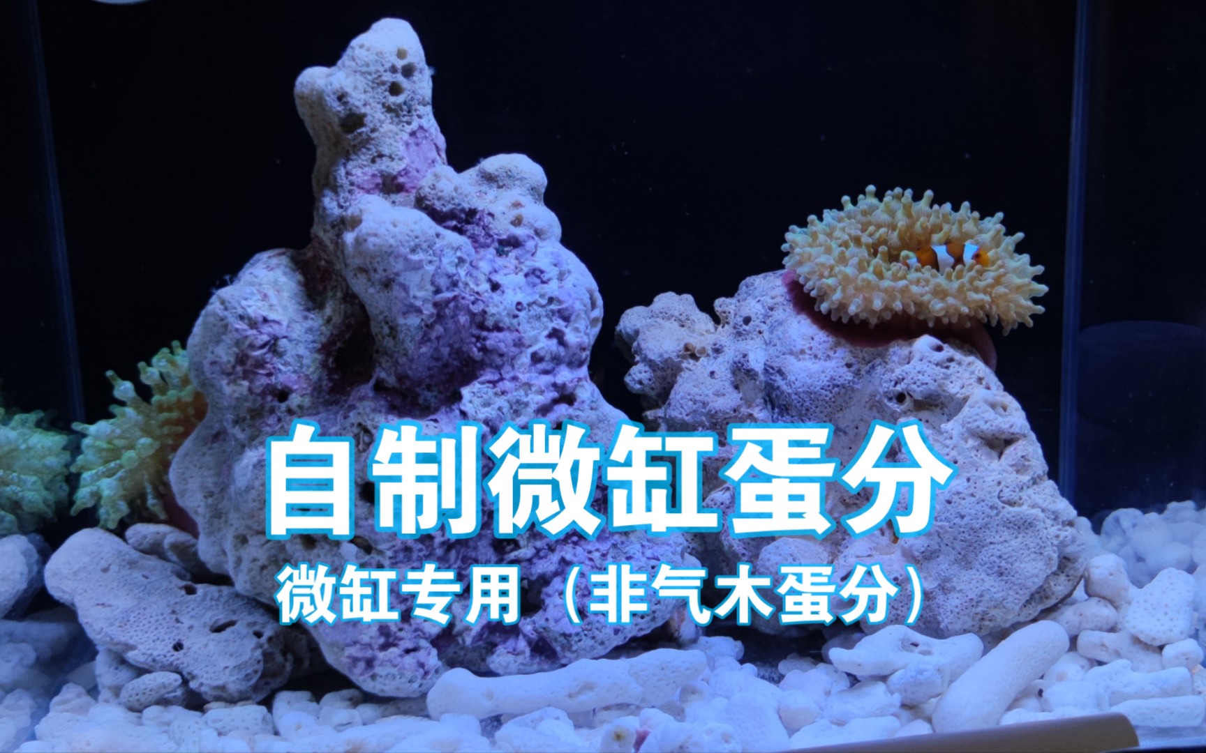 自制的微缸蛋分(非气木蛋分)