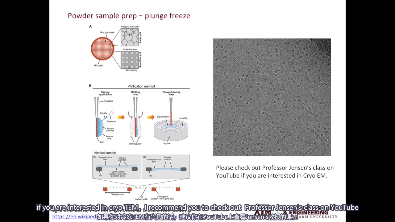 10.透射电子显微镜样品制备(TEM specimen preparation ) 透射电子...