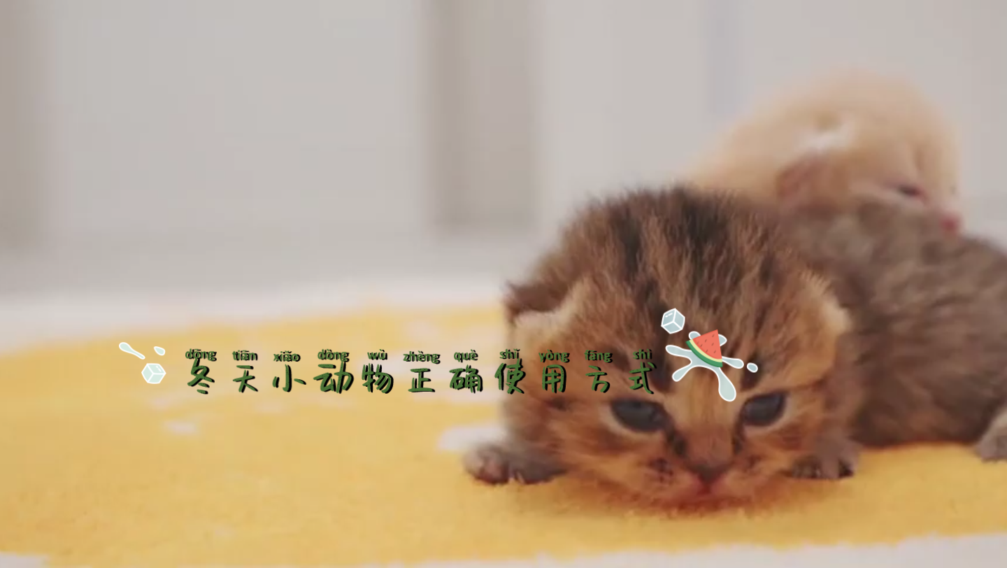 z冬天小动物正确使用方式:歌曲弹唱—小动物怎样过冬13