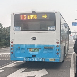 衡慈BUS 