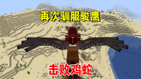 我的世界冰与火之歌模组 第33集 我的世界冰火传说33:再次驯服骏鹰,...
