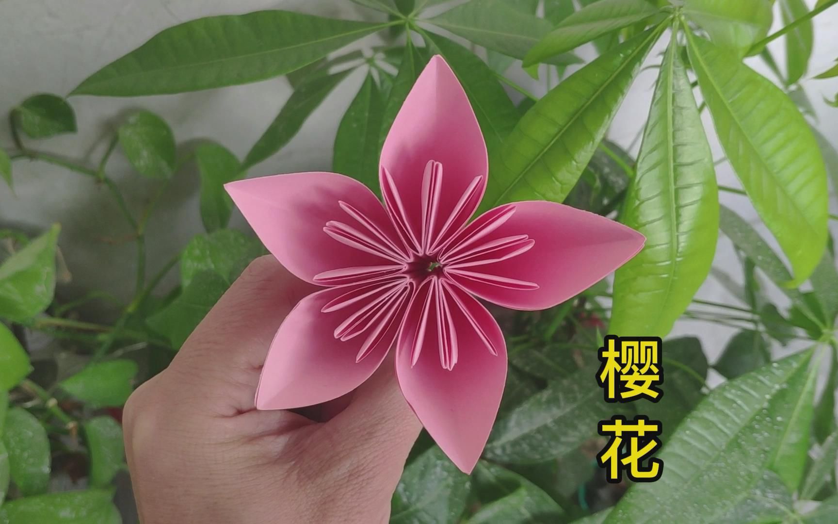 折纸樱花教程,简单又漂亮的立体樱花