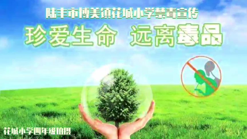 博美镇花城小学禁毒宣传短片