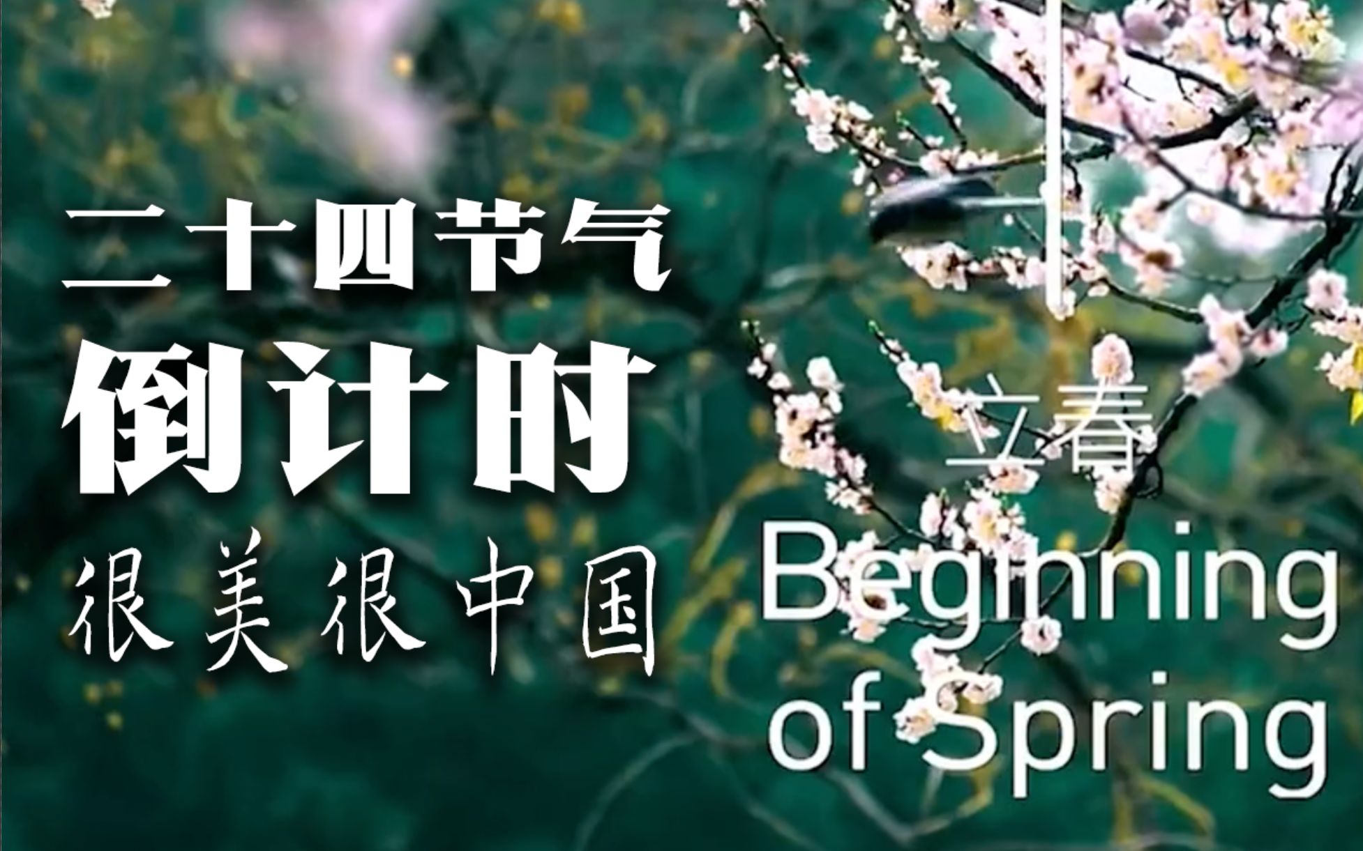 二十四节气倒计时,很美很中国!
