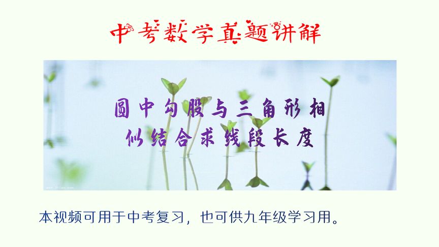 中考数学真题讲解,圆中勾股与相似结合求线段长度,你会吗?