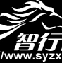 沈阳智行传媒有限公司 