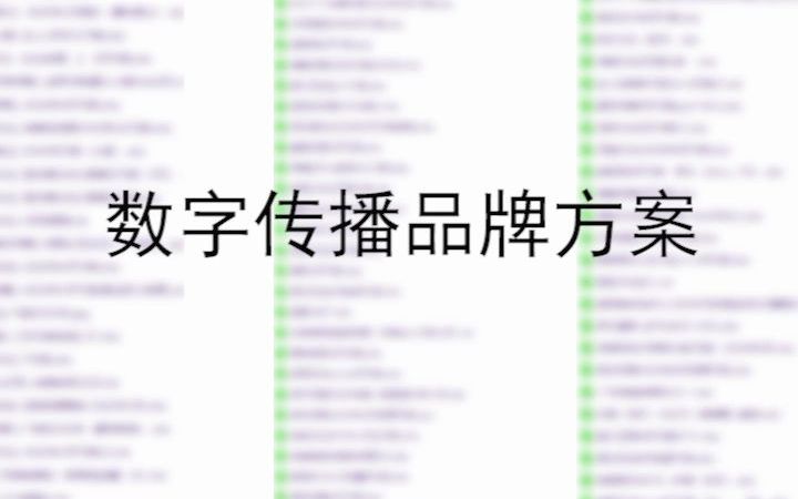 品牌数字化内容传播媒体推广规划设计方案商业计划书模板ppt