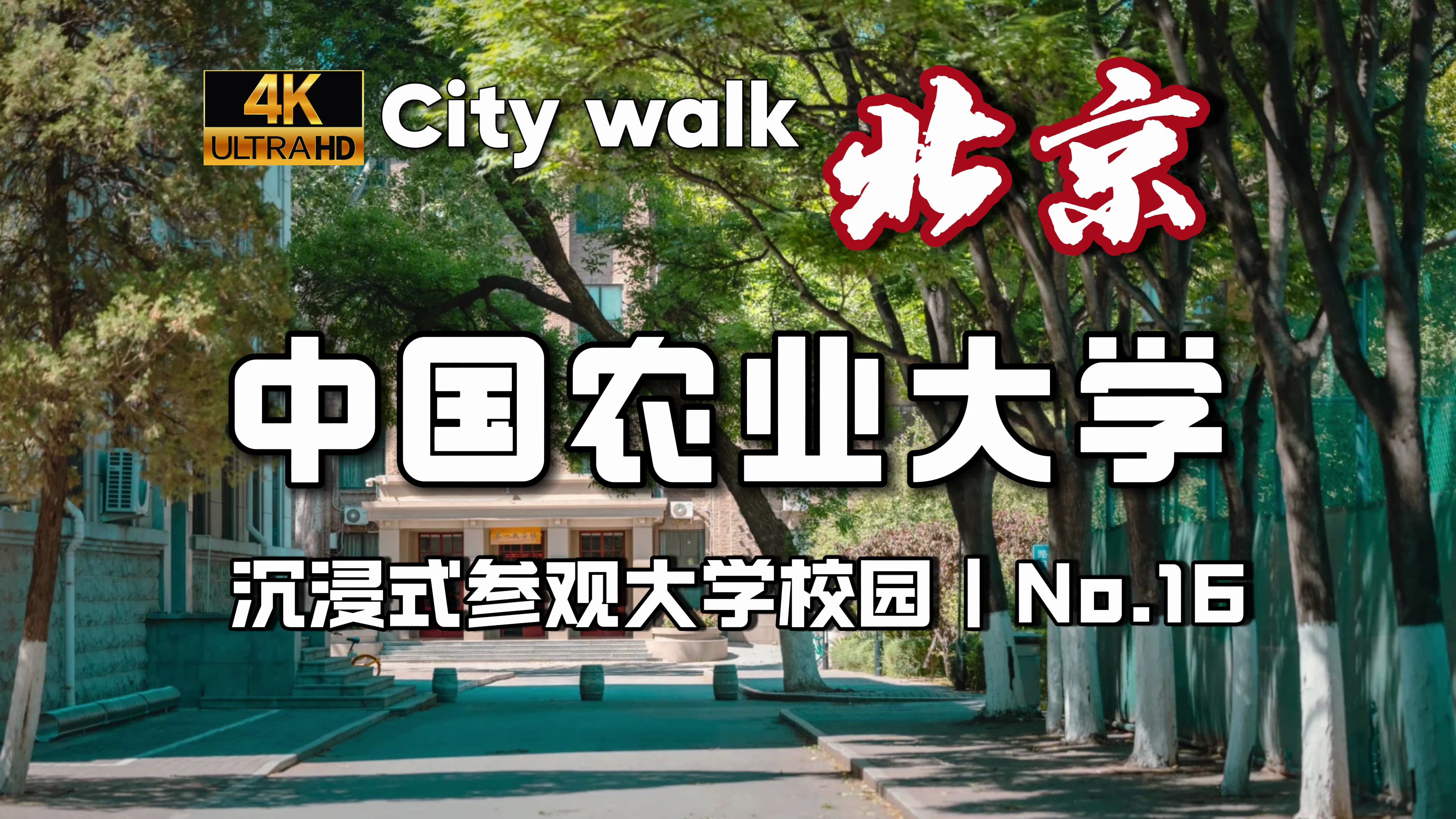 ...所大学校园 | NO.16 中国农业大学 | 双一流 | 211工程 | 985工程 | 全国...