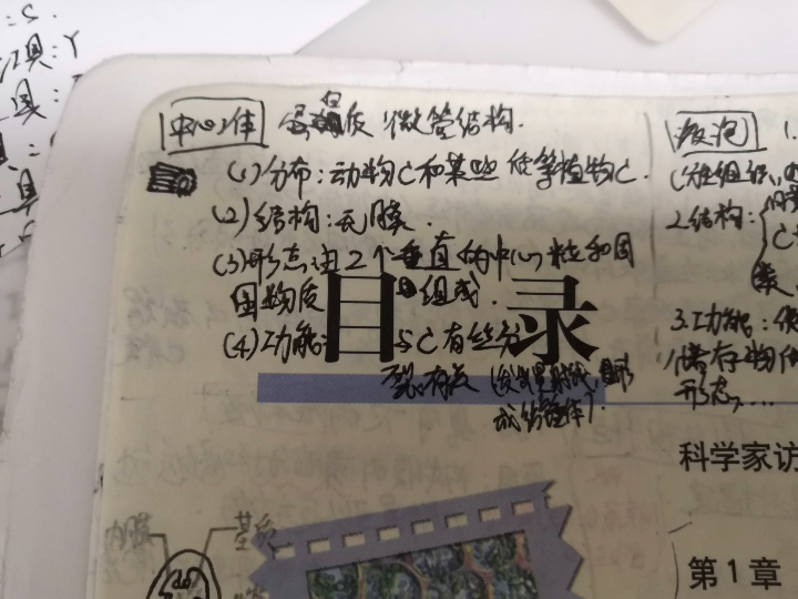 高中生物八大细胞器简介,你不懂算我输(附有图形理解)