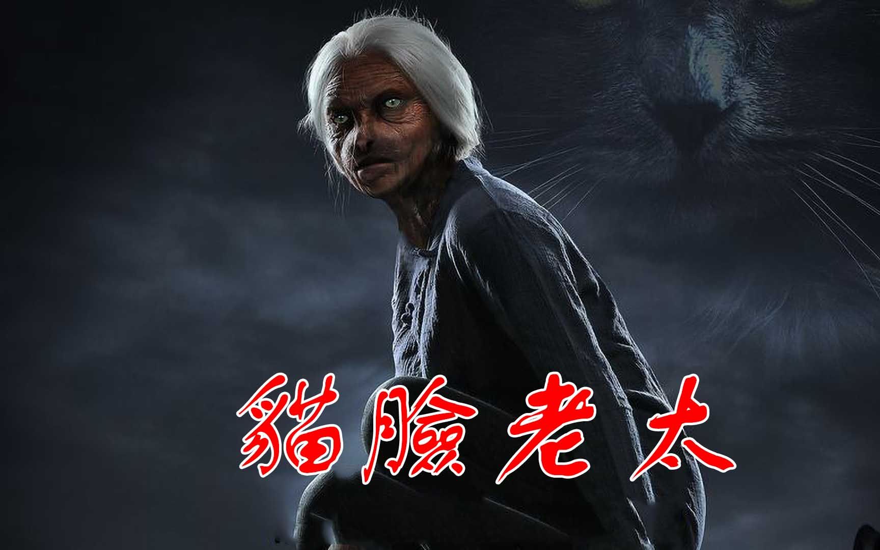 老太太死后,老猫离奇死亡