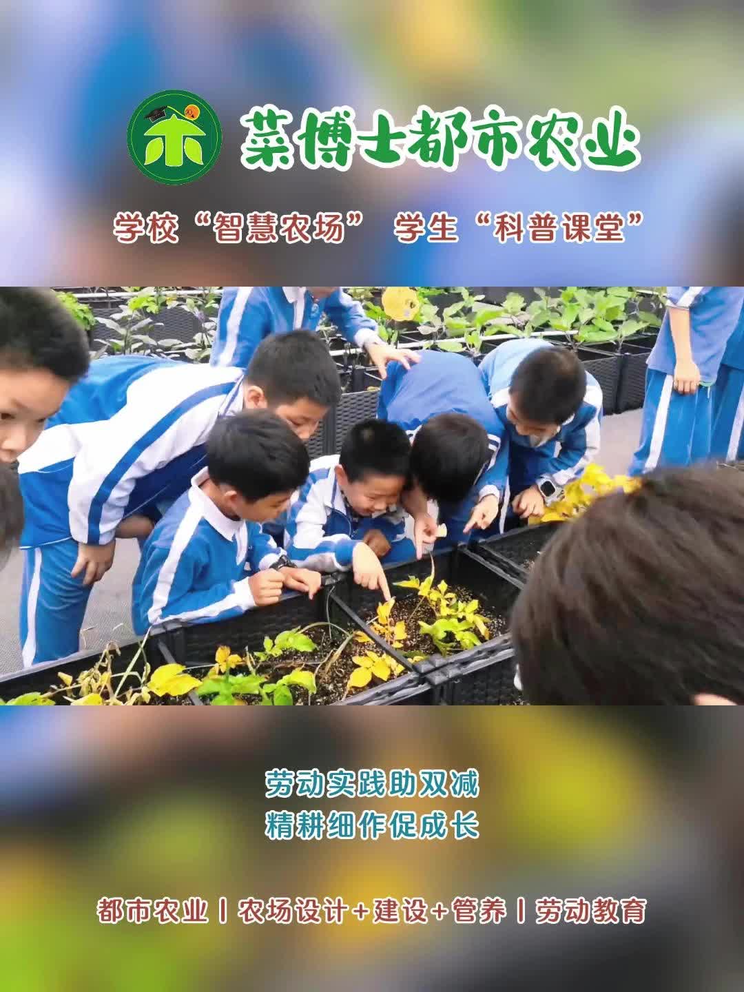 深圳劳动教育实践基地,给大家分享学生们在企业共享菜园活动;专业...