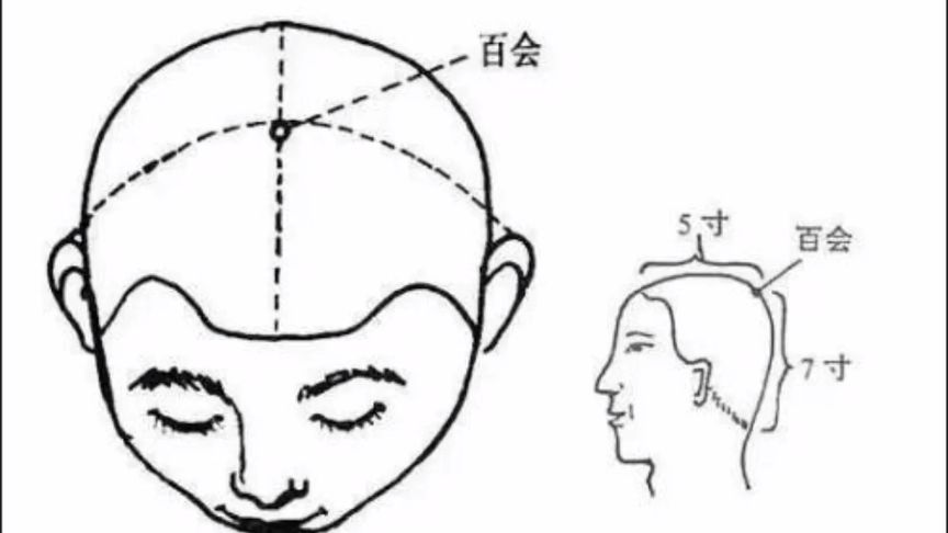 每日一穴:百会穴