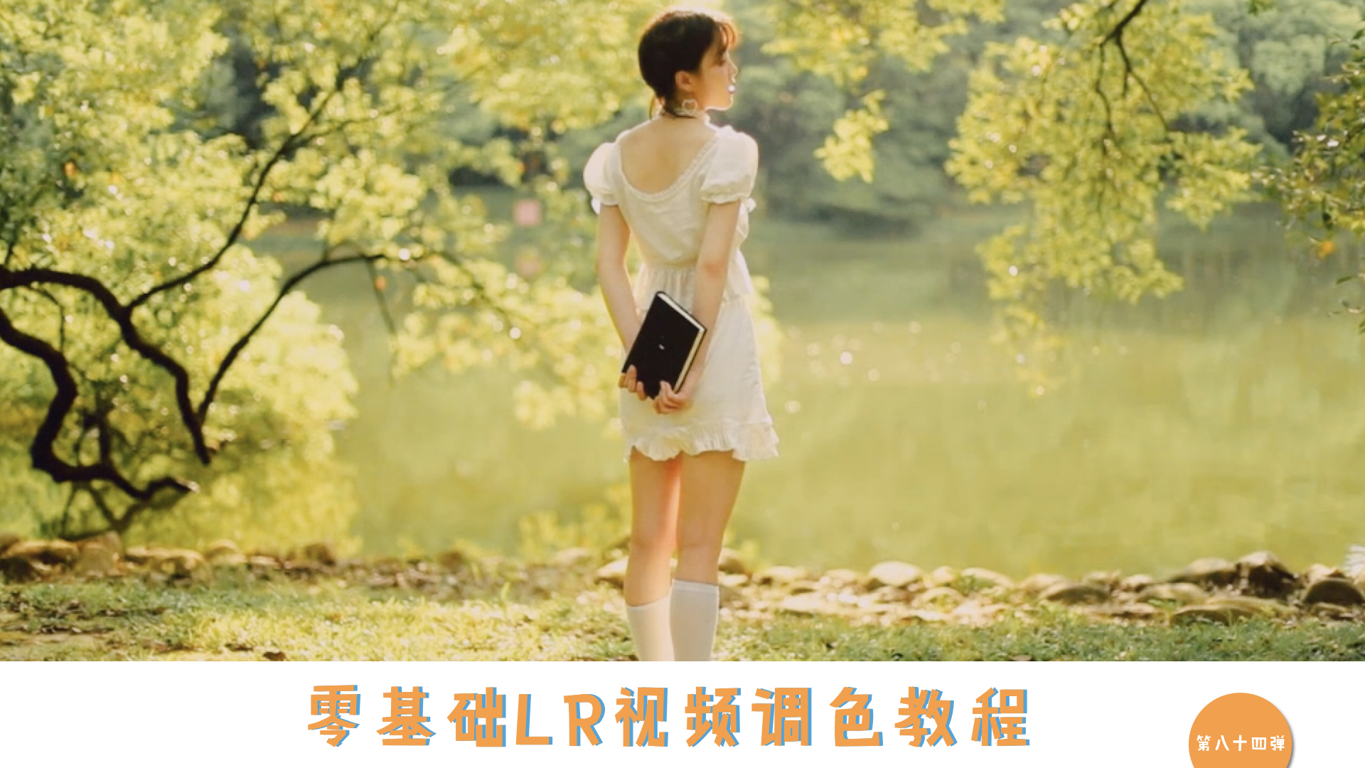 零基础LR视频调色教程