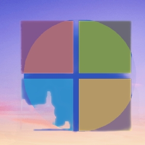 爱玩Windows的菜鸟 